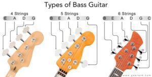 Master the Basics: Step-by-Step Bass Guitar Setup Guide - Insta of Bass